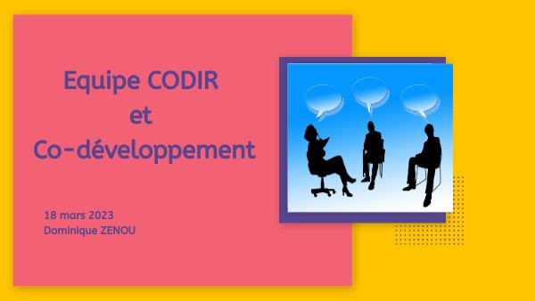 SE60- Equipe CODIR/ Co-Développement managérial