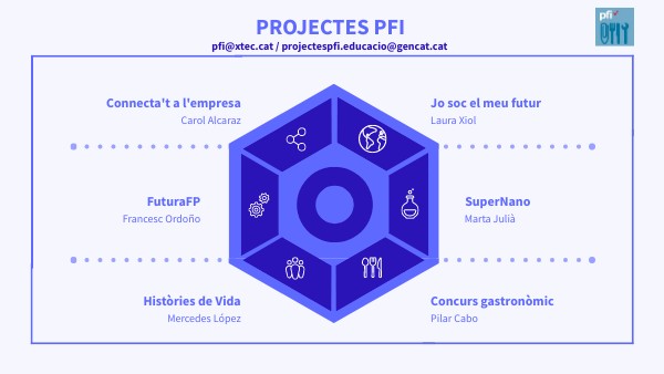 PROJECTES PFI