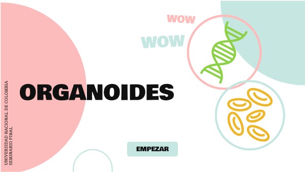 organoides | Genially