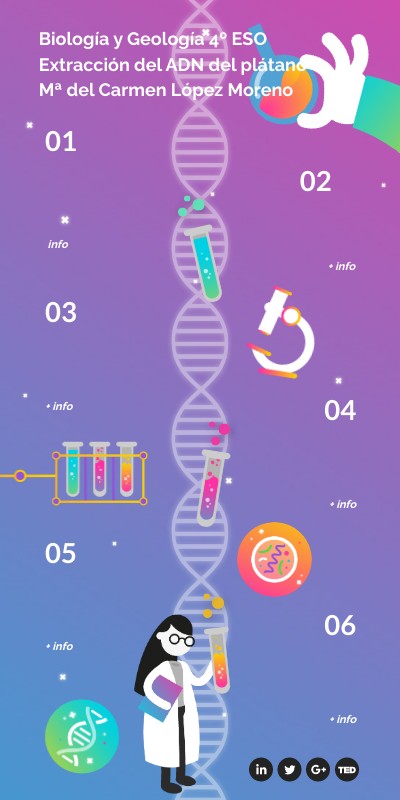 Extracción del ADN del plátano | Genially
