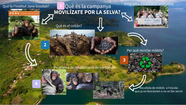 "MOVILIZATE POR LA SELVA" | Genially