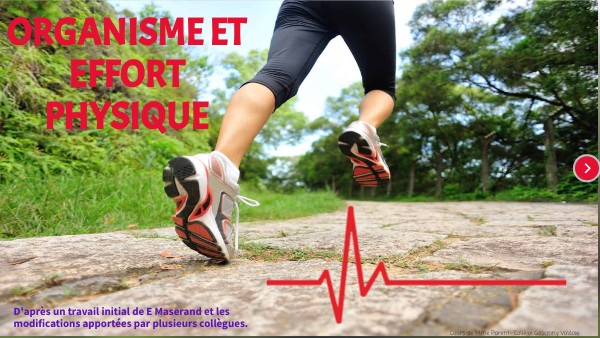 Copie - 5° Organisme et effort physique | Genially