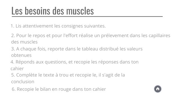 Besoin du muscle - 5eme