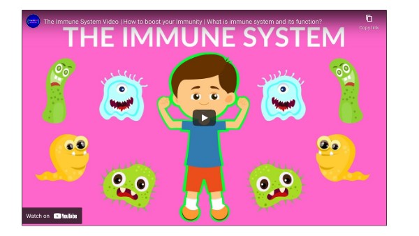 IMMUNE SYSTEM
