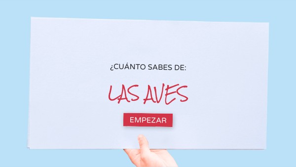 QUIZ MANOS - AVES | Genially