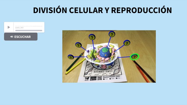 LA DIVISIÓN CELULAR Y REPRODUCCIÓN | Genially