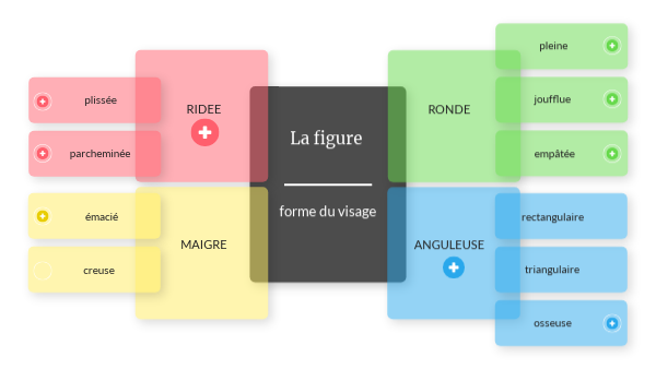 vocabulaire du visage