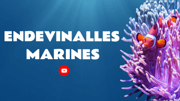 ENDEVINALLES MARINES