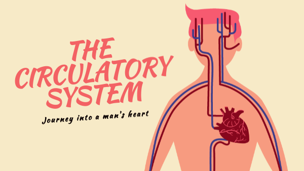 THE HEART AND BLOOD VESSELS | Genially