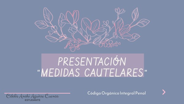 PRESENTACIÓN MEDIDAS CAUTELARES | Genially