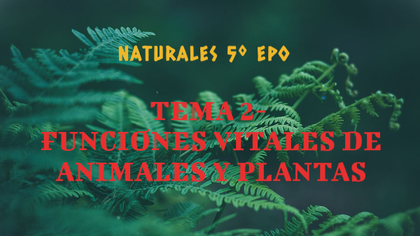 TEMA 2 NATURALES 5º- FUNCIONES VITALES ANIMALES Y PLANTAS | Genially