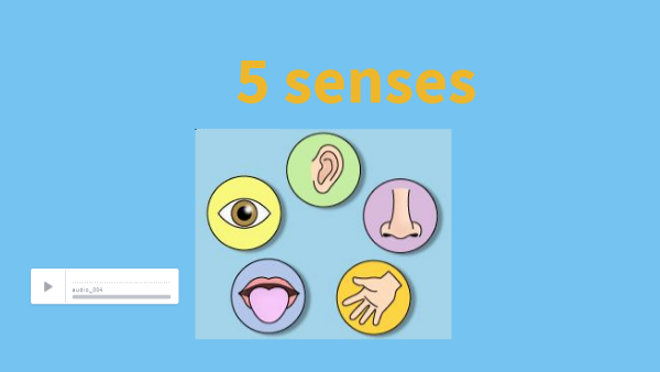 5 senses - Bugs Team 1 Unit 3 copy | Genially