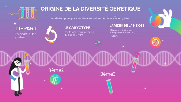 3eme Génétique Mr Dupent | Genially