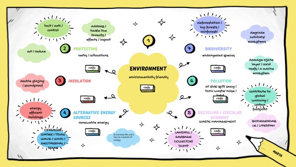 ENVIRONMENT VOCABULARY