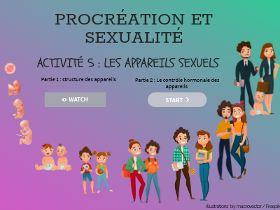 La procréation et la sexualité humaine | Genially