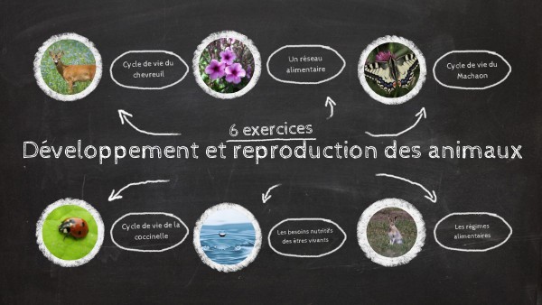 Révisions développement et reproduction des animaux | Genially