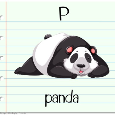 P jak panda | Genially