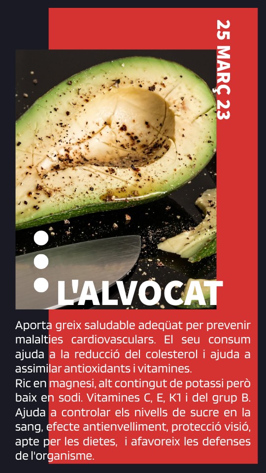 alvocat
