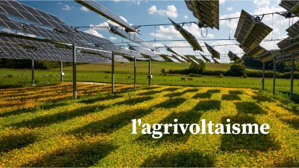 agrivoltaisme