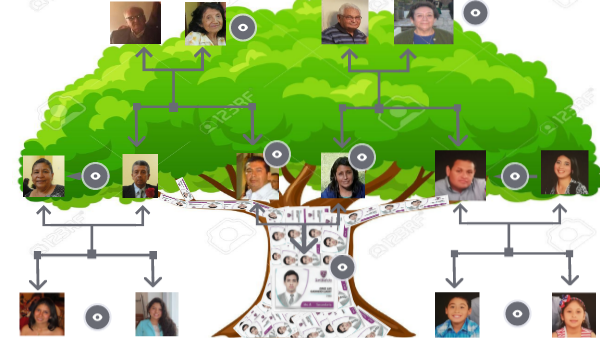 Árbol Genealógico | Genially