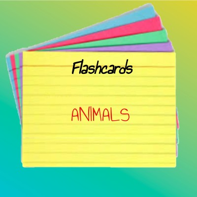 flashcards phonétique animaux copie