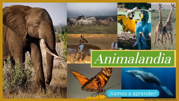 ANIMALANDIA | Genially