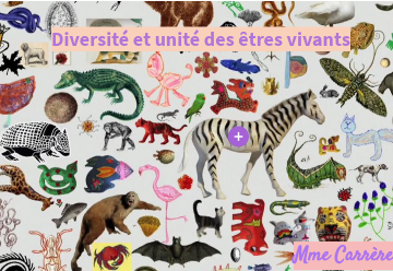 diversité et unité des êtres vivants | Genially