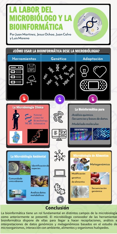 Bioinformatica | Genially