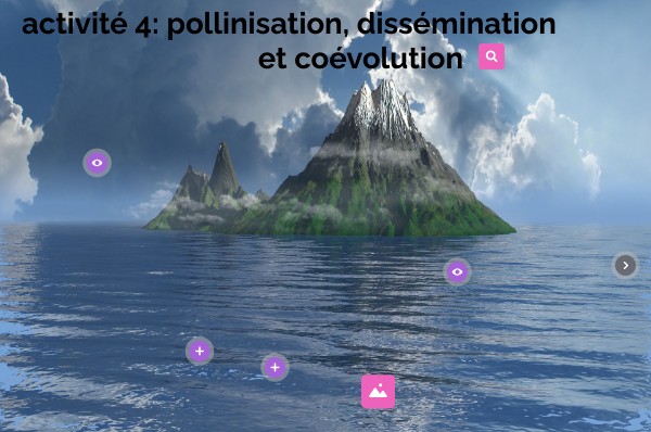 pollinisation et dissémination | Genially