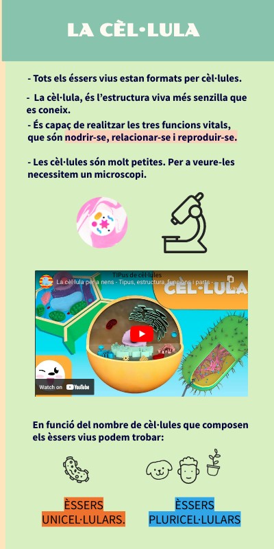 TIPUS DE CEL·LULES | Genially