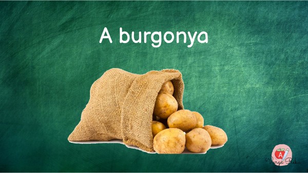 4. osztály - A burgonya | Genially