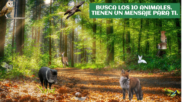 LOS ANIMALES DEL BOSQUE | Genially