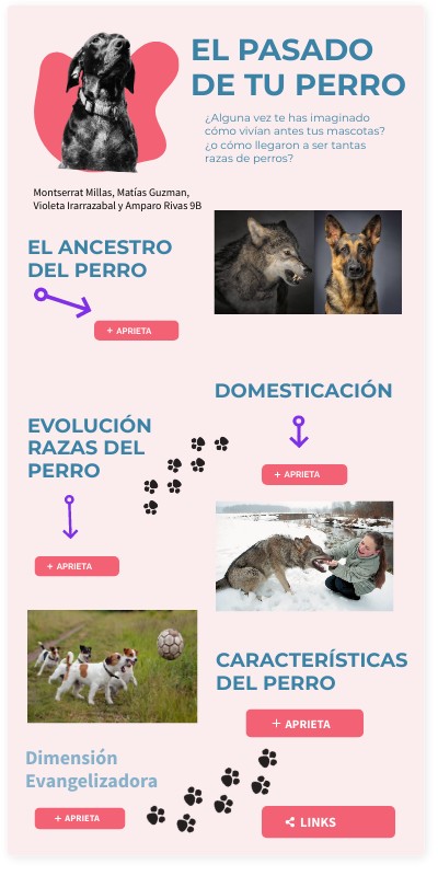 Evolución del perro | Genially