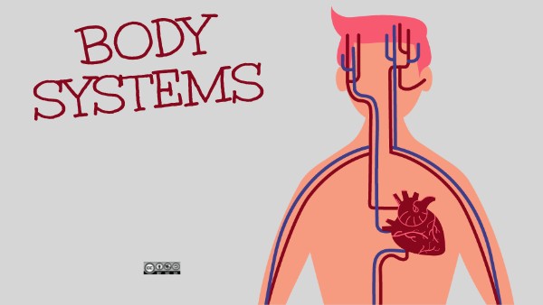 BODY SYSTEMS | Genially