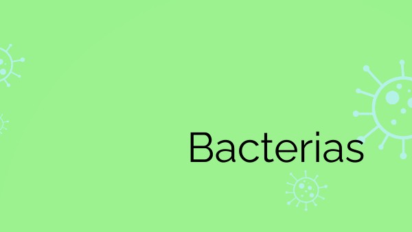 Estructura de las BACTERIAS