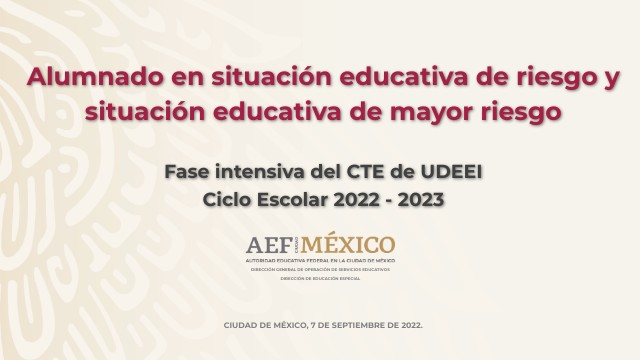 Situación educativa / Fase Intensiva UDEEI