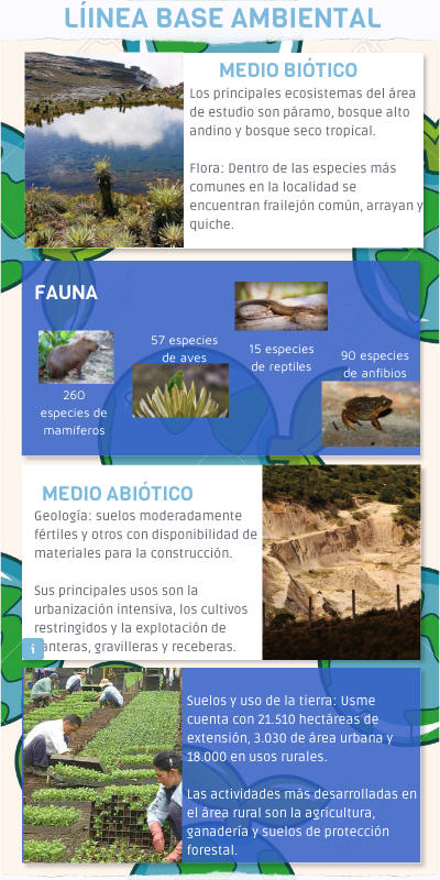 LINEA BASE | Genially