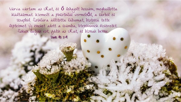 Hála