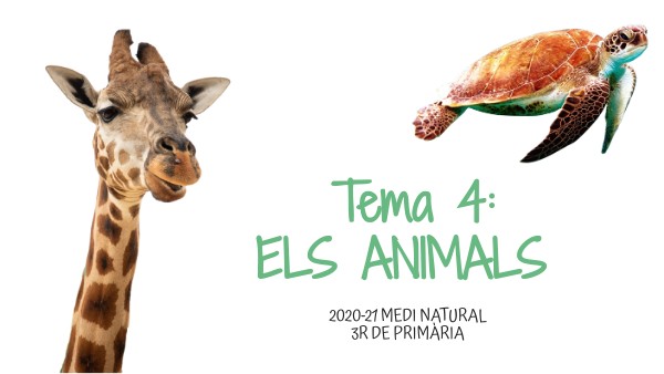 2020-21 3r T4 Els animals | Genially