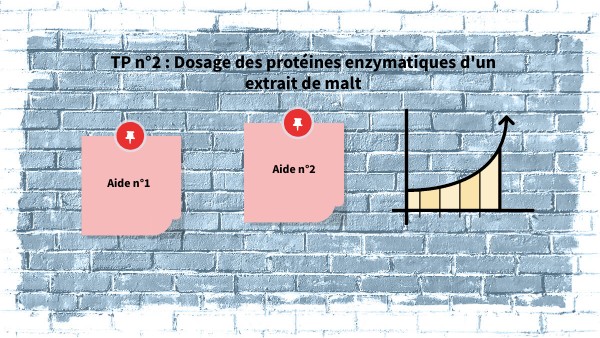 TP BCM n°2 | Genially
