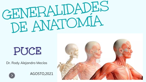 GENERALIDADES DE ANATOMÍA | Genially