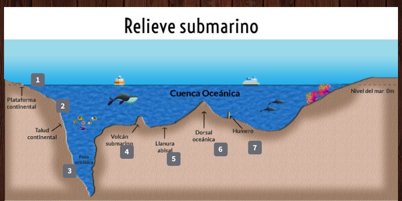 RELIEVE SUBMARINO | Genially