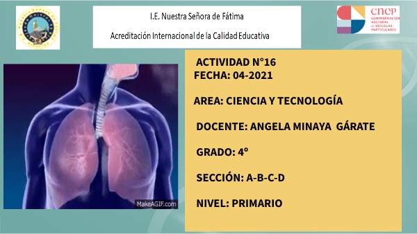 ACTIVIDAD 16 -CT | Genially