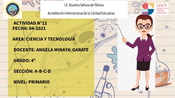 ACTIVIDAD 11-CT | Genially