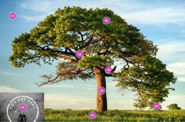 The Business Ideas Tree | Genially