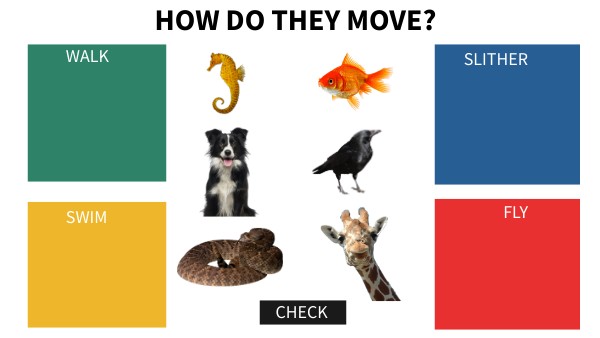 How do they move?