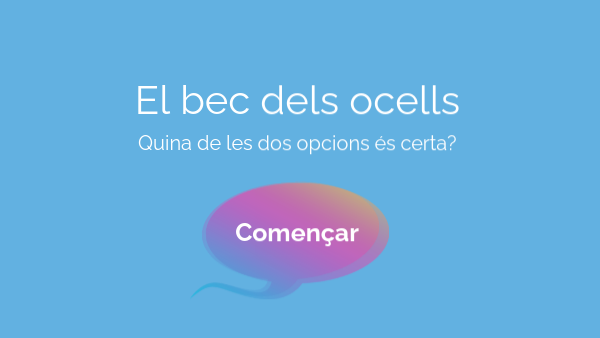 el bec dels ocells