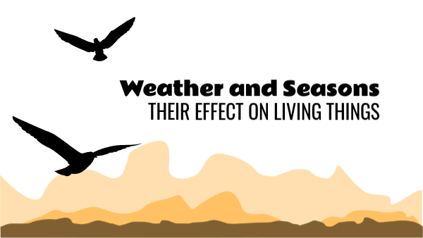 Seasons and their effects on living things 2nd forms | Genially