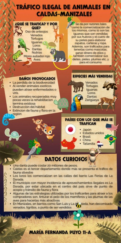 tráfico ilegal de animales en Caldas- Manizales | Genially