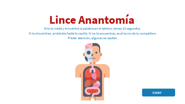 Lince Anatomía | Genially